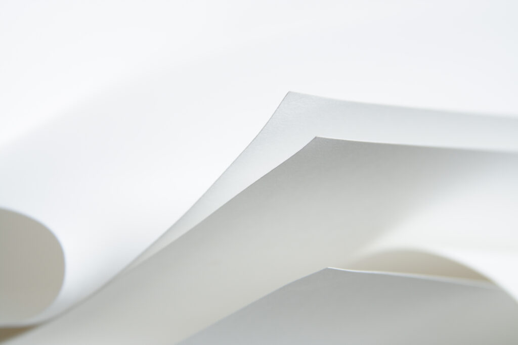 Pulp - International Forest Products LLC